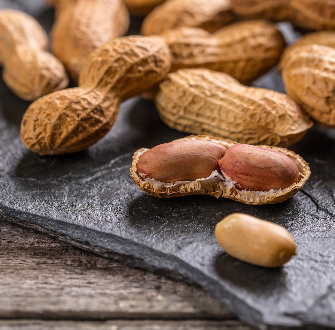 Rotterdam Commodity Trading | Specialized brokers in edible nuts